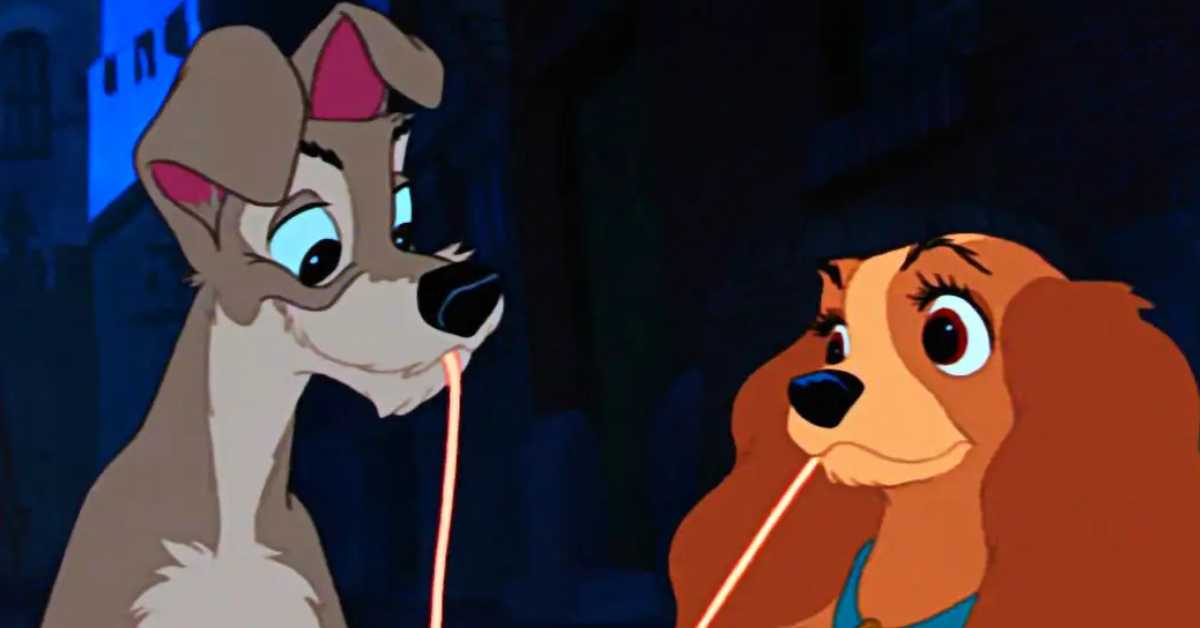 Is Tramp a Schnauzer? A Lovable and Furry Mystery! 🐶 - Schnauzer Expert